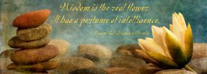 The Ancient Ayurvedic Writings | Ancient Ayurveda Books | The Ayurvedic ...